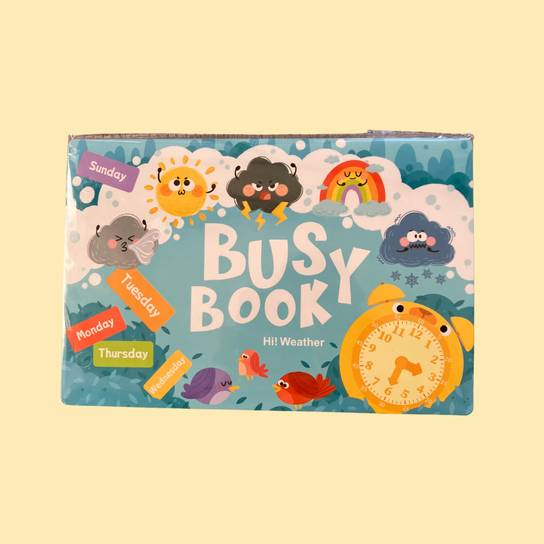 Early Learning Busy Book – Weather | BubbaCo